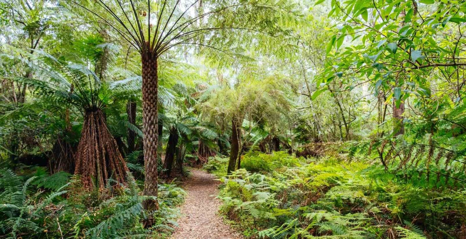 Things to do at Melba Gully